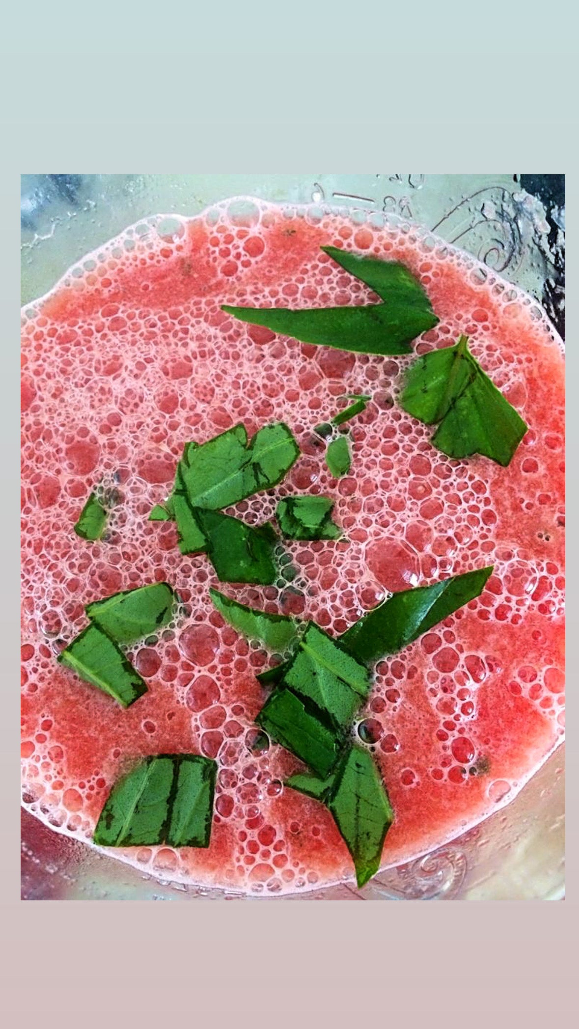 BASIL WATERMELON SLUSHY – TD WELLNESS